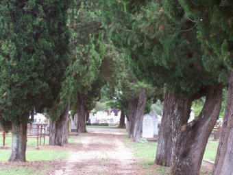 Australian Cemeteries - New South Wales- Armidale Cemetery